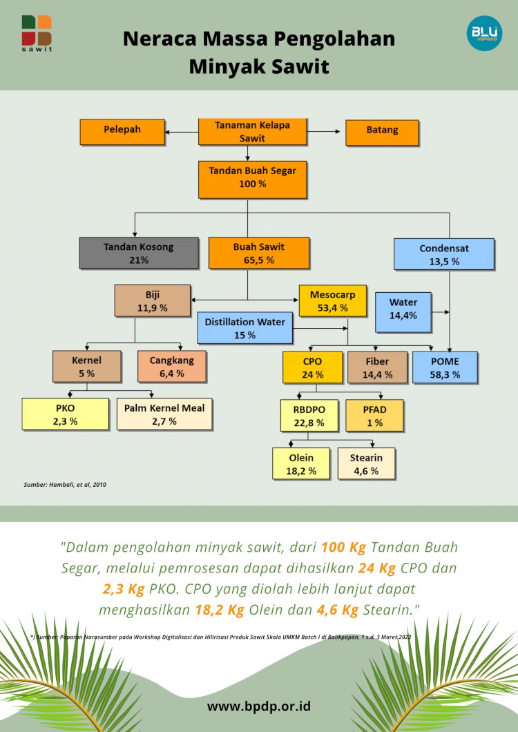 Infografis - Amandasari Amandasari